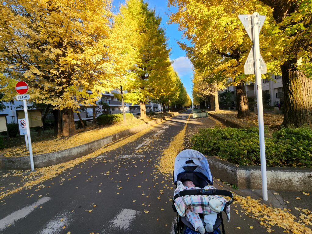 ピカログ | ぴっか(0歳児)との育児ライフや生活に役に立つ情報をお届け中！